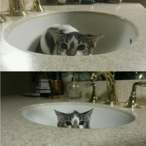 16 Adorably Innocent Animals You Won't Be Able To Resist